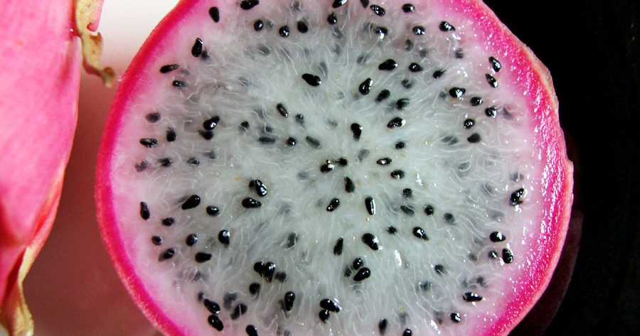 I Eat Alien Food | Pop Chassid